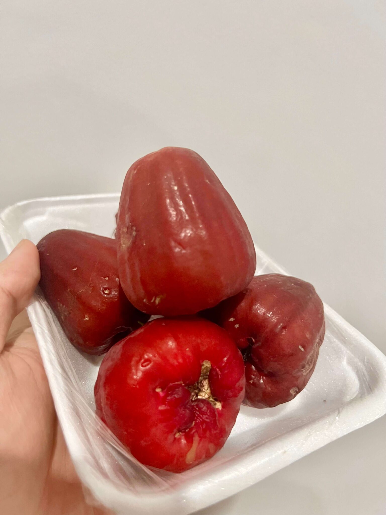 『Jambu Bol』は驚くべきインドネシアの果物 – 健康と栄養価に富んでいる | ジョグジャラン